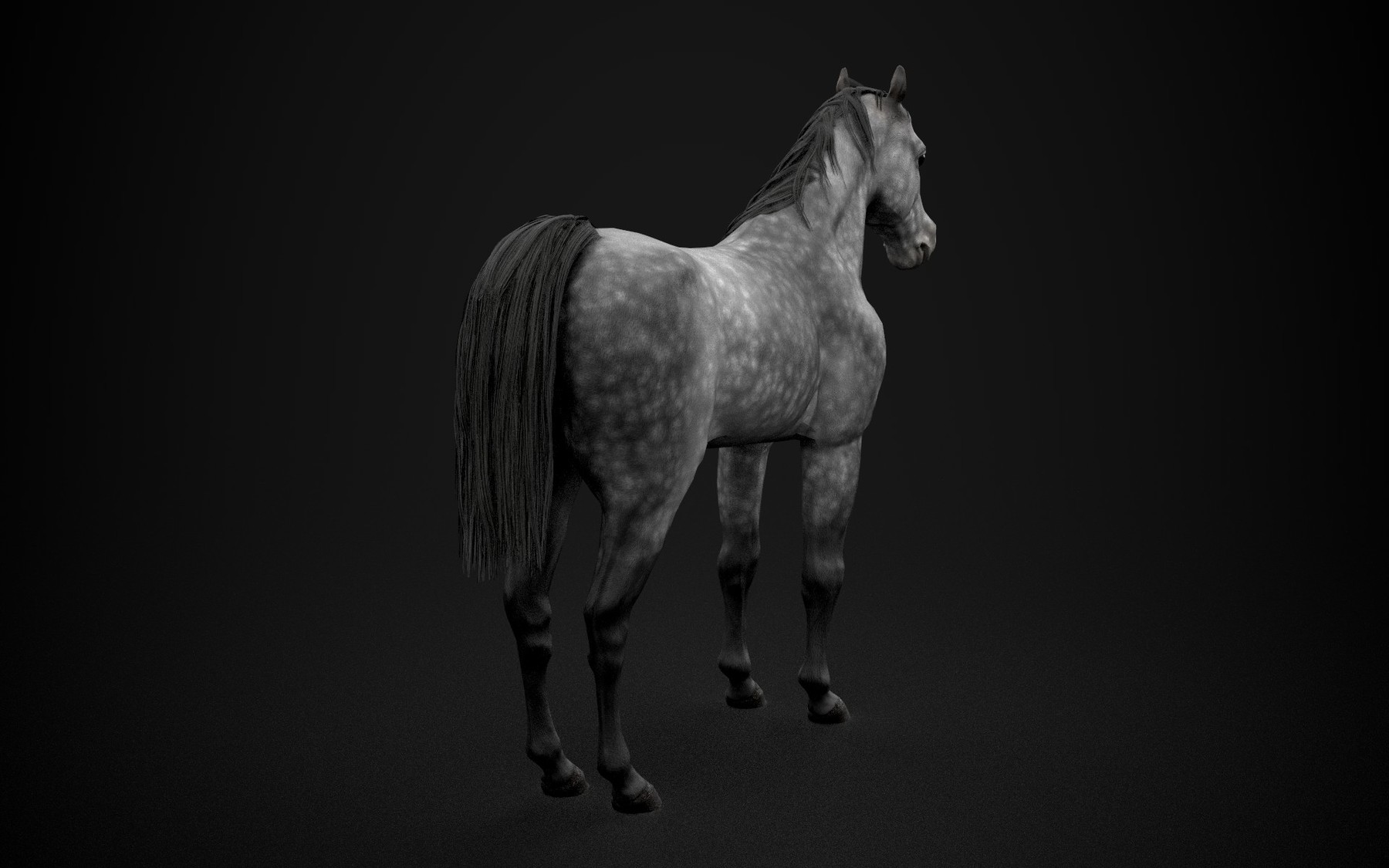 ArtStation - The Mare | Resources