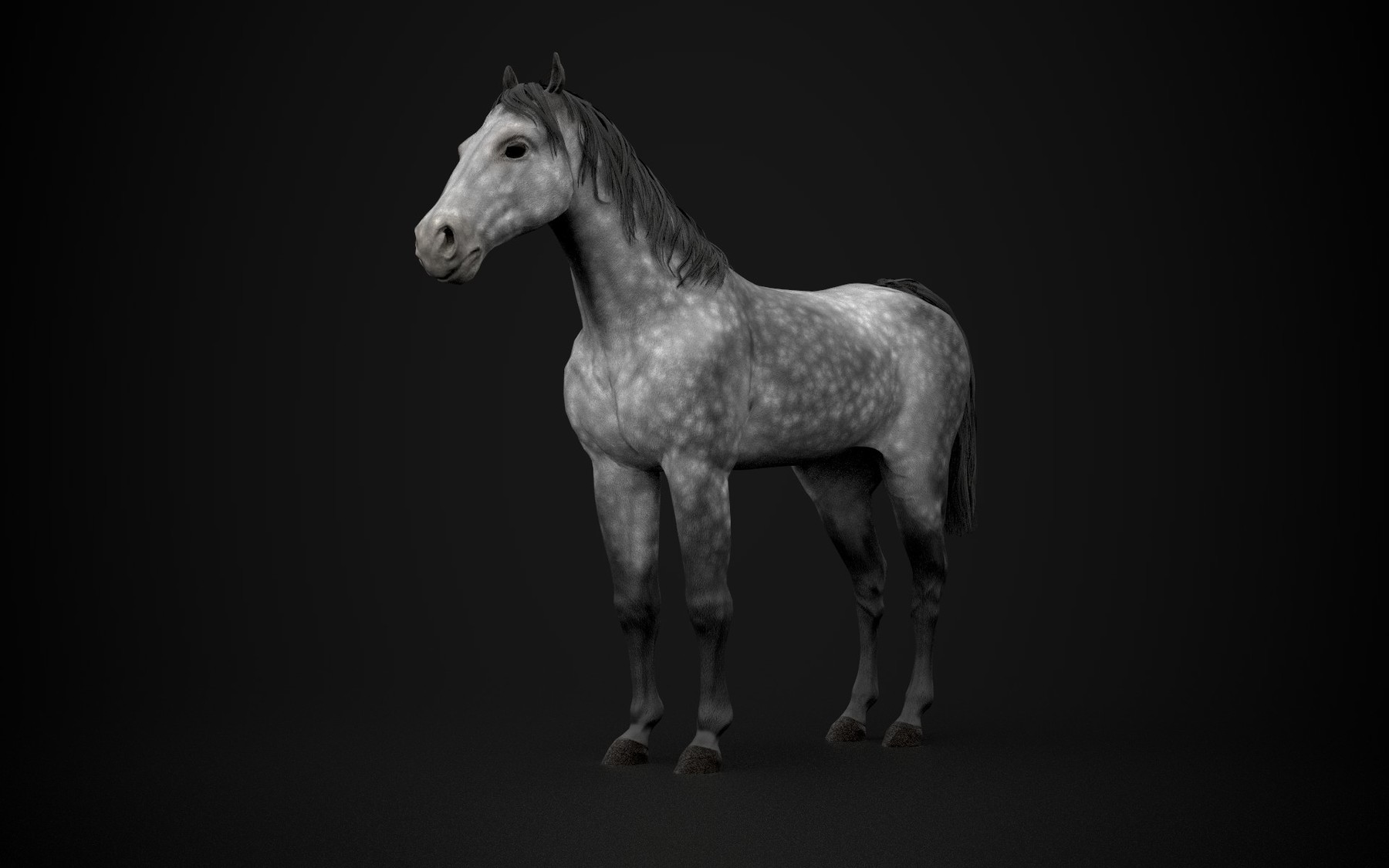 ArtStation - The Mare | Resources