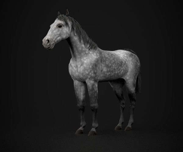ArtStation - The Mare | Resources