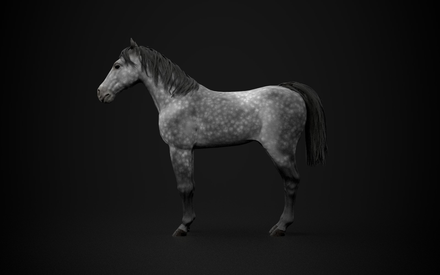 ArtStation - The Mare | Resources