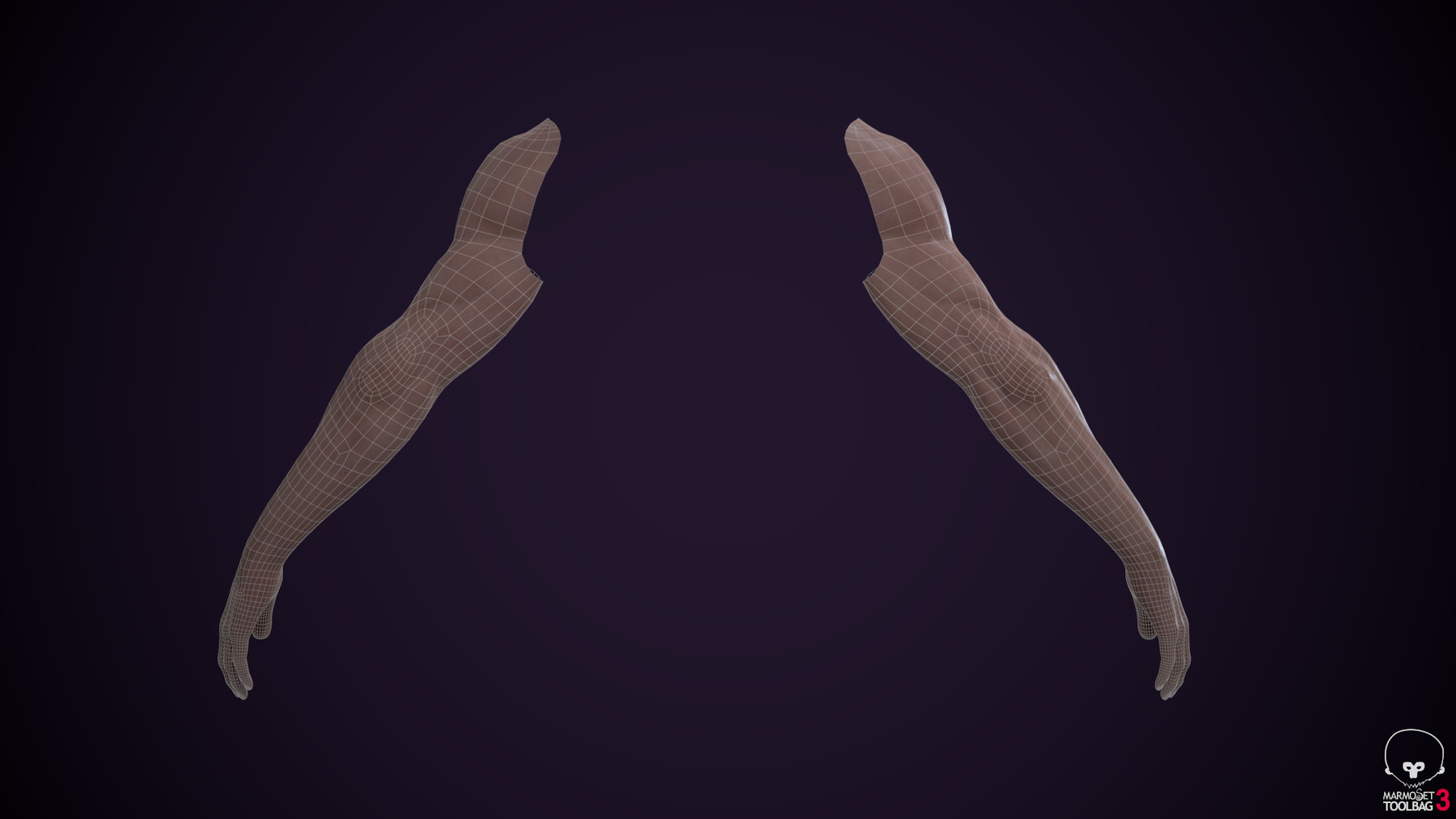 ArtStation - Two Arms Rigged Low-poly | Game Assets