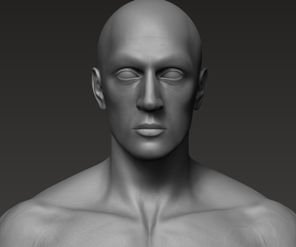 ArtStation - Anatomically correct muscular male body Low and High Poly ...