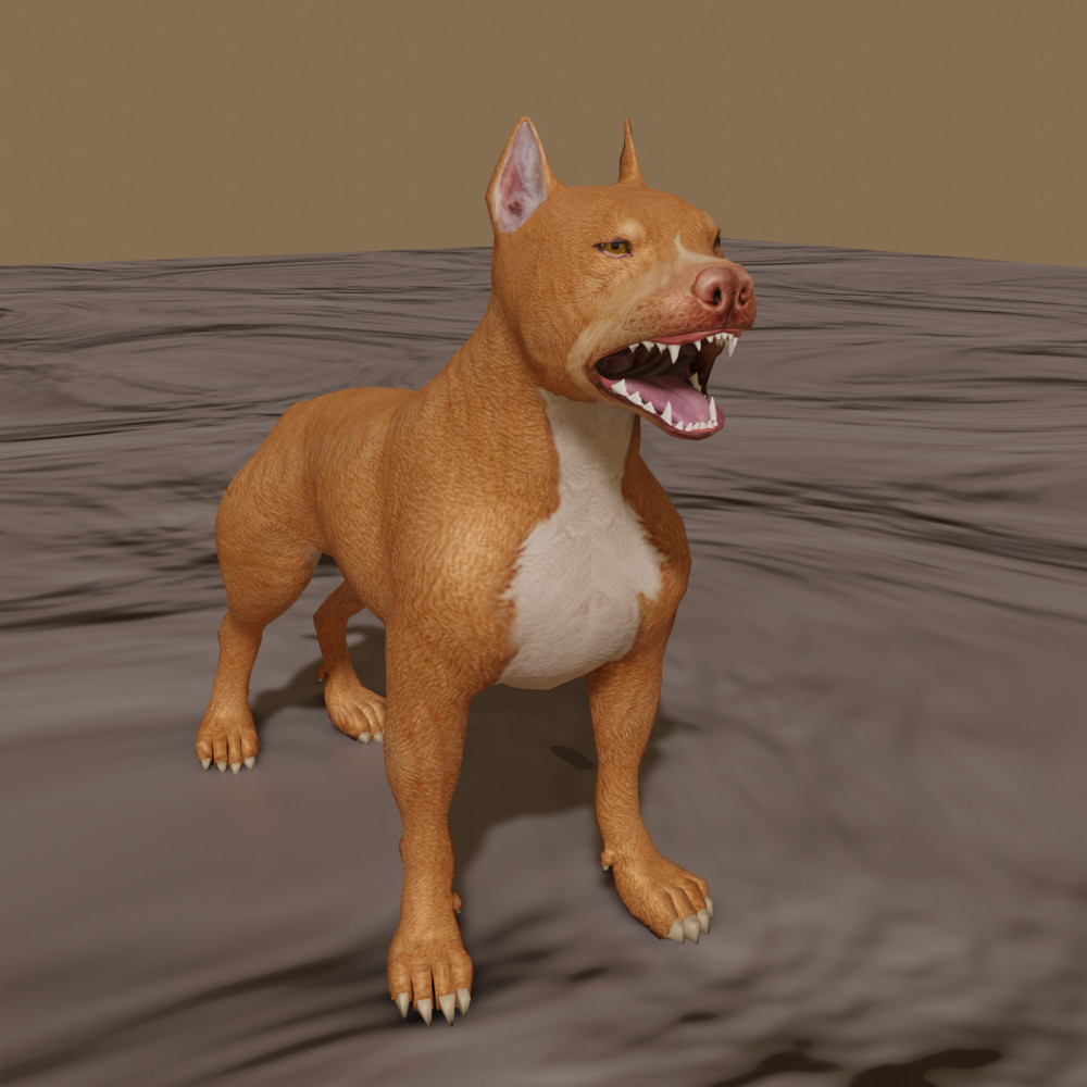 ArtStation - pit bull | Game Assets