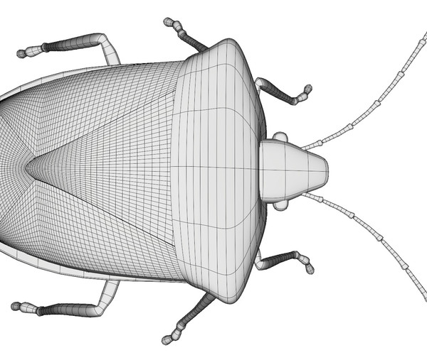 ArtStation - 3D Stinkbug | Resources