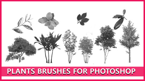 ArtStation - 17 plants brush for photoshop | Brushes