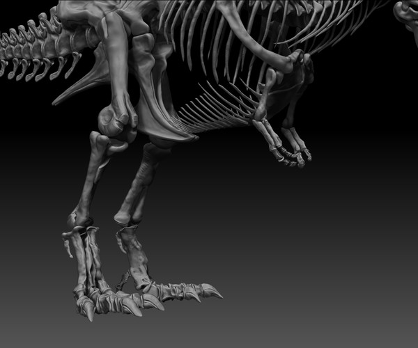 ArtStation - Dinosaur Sub Tyrannosaurus Rex Full Skeletons - SubRex ...
