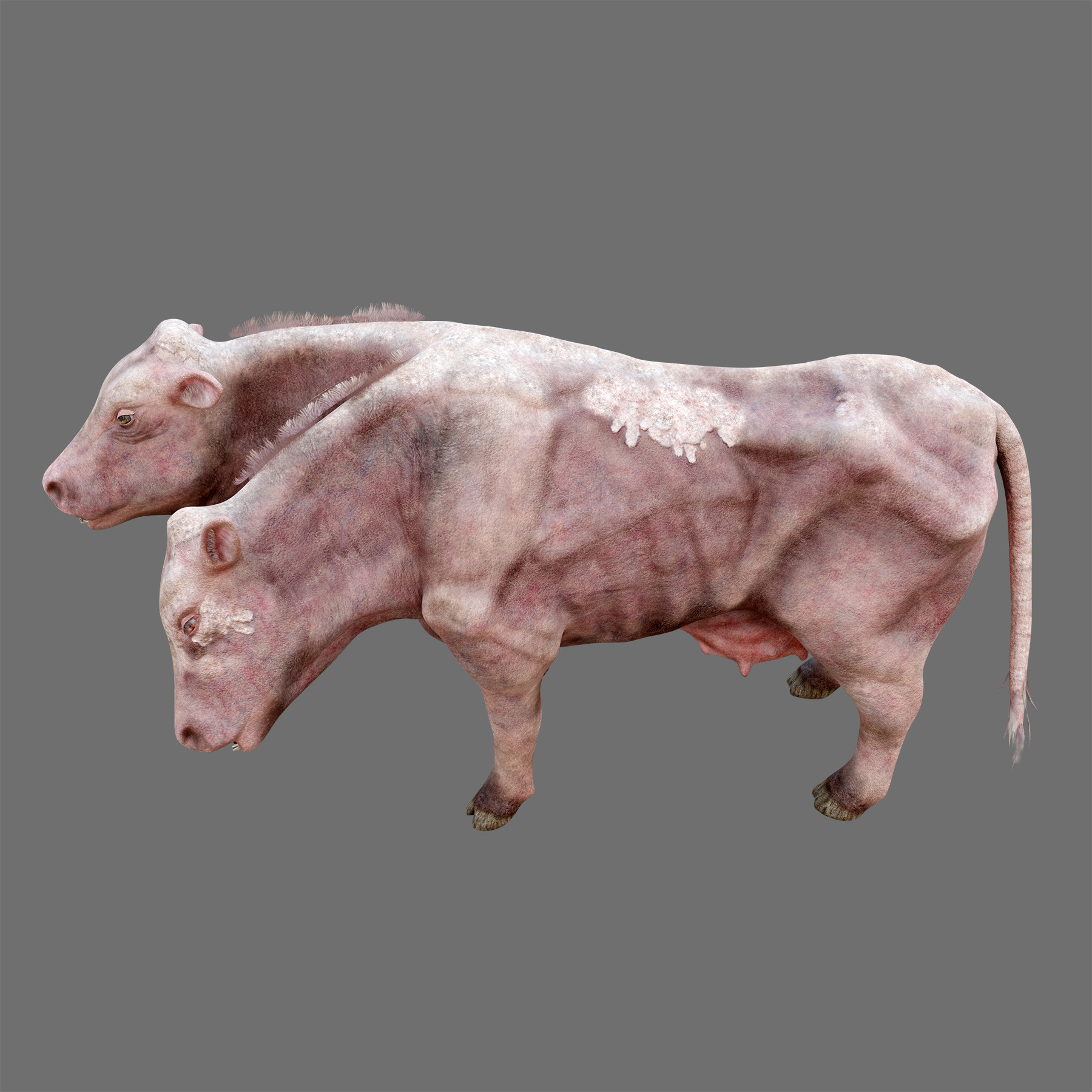 ArtStation - Mutated Cow | Game Assets
