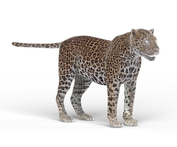 ArtStation - Low Poly Wild Animal 3D Model Collection | Resources