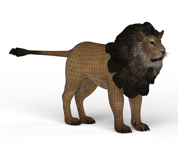 ArtStation - Low Poly Wild Animal 3D Model Collection | Resources