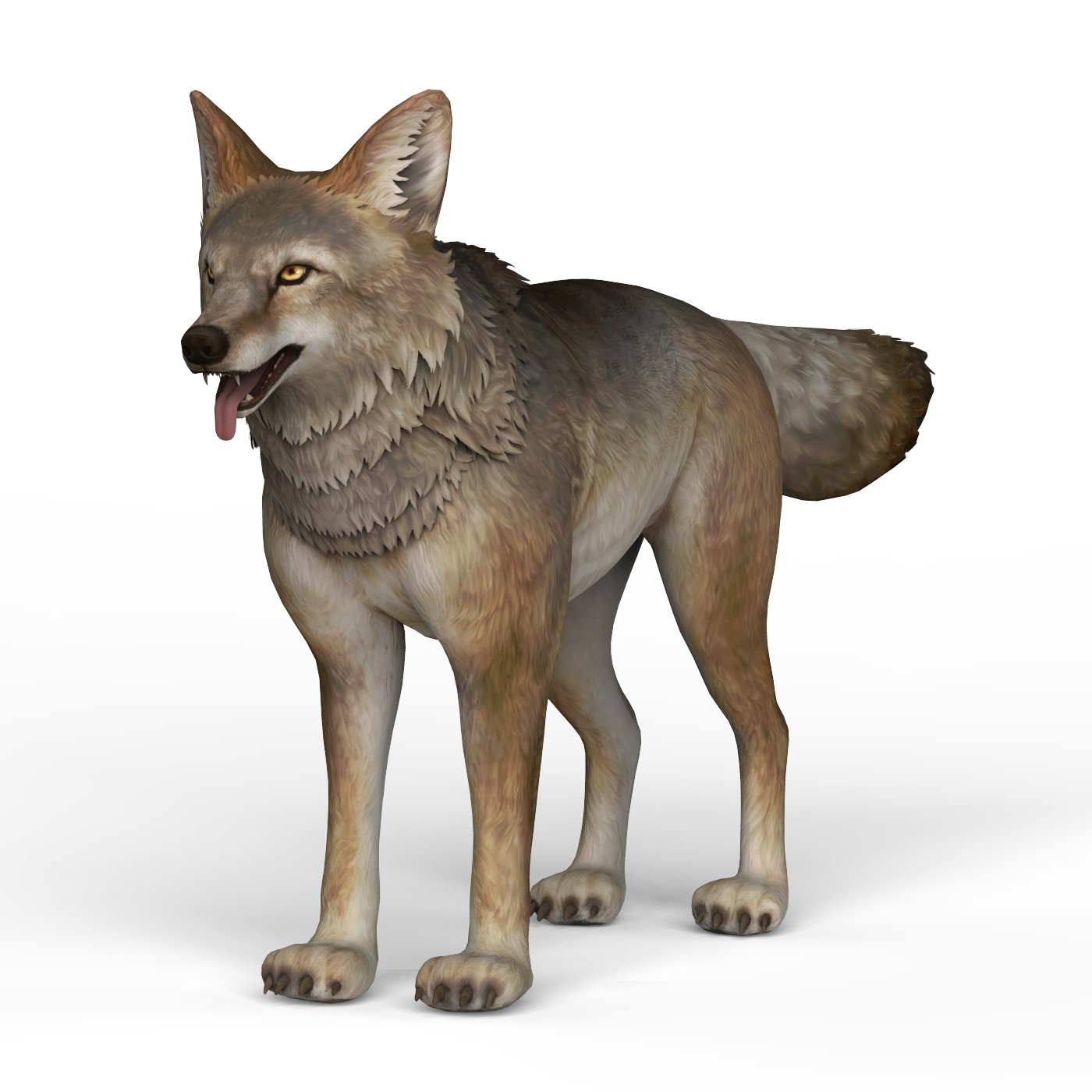 ArtStation - Low Poly Wild Animal 3D Model Collection | Resources