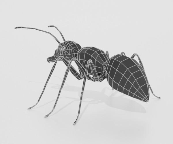 ArtStation - Low Poly Cartoon Ant | Game Assets