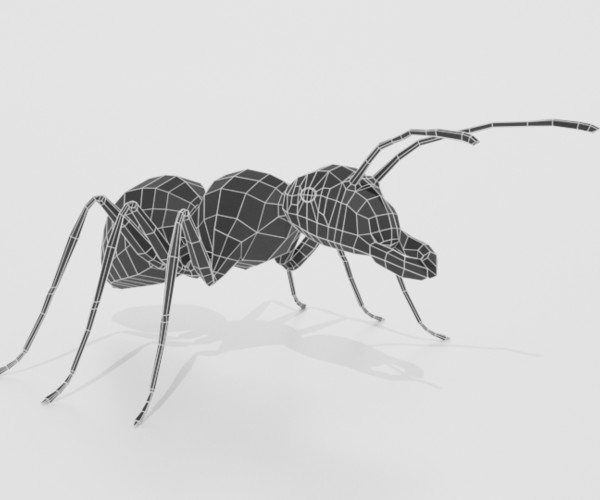 ArtStation - Low Poly Cartoon Ant | Game Assets