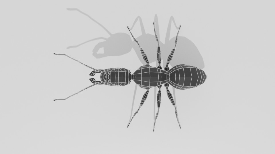 ArtStation - Low Poly Cartoon Ant | Game Assets