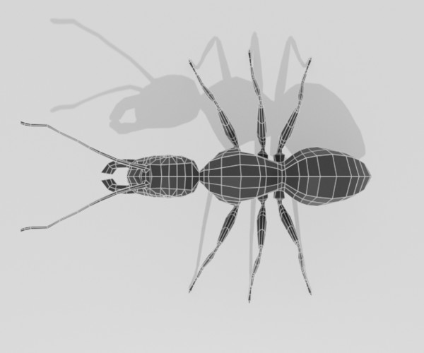 ArtStation - Low Poly Cartoon Ant | Game Assets