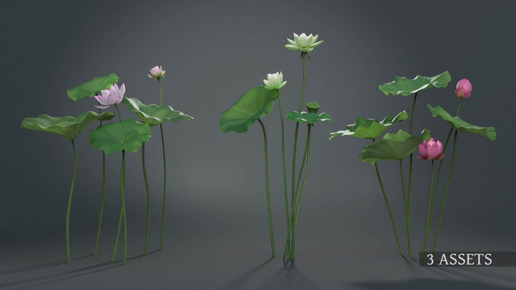 ArtStation - 3D Flower |Lotus Collection vol07 | Resources