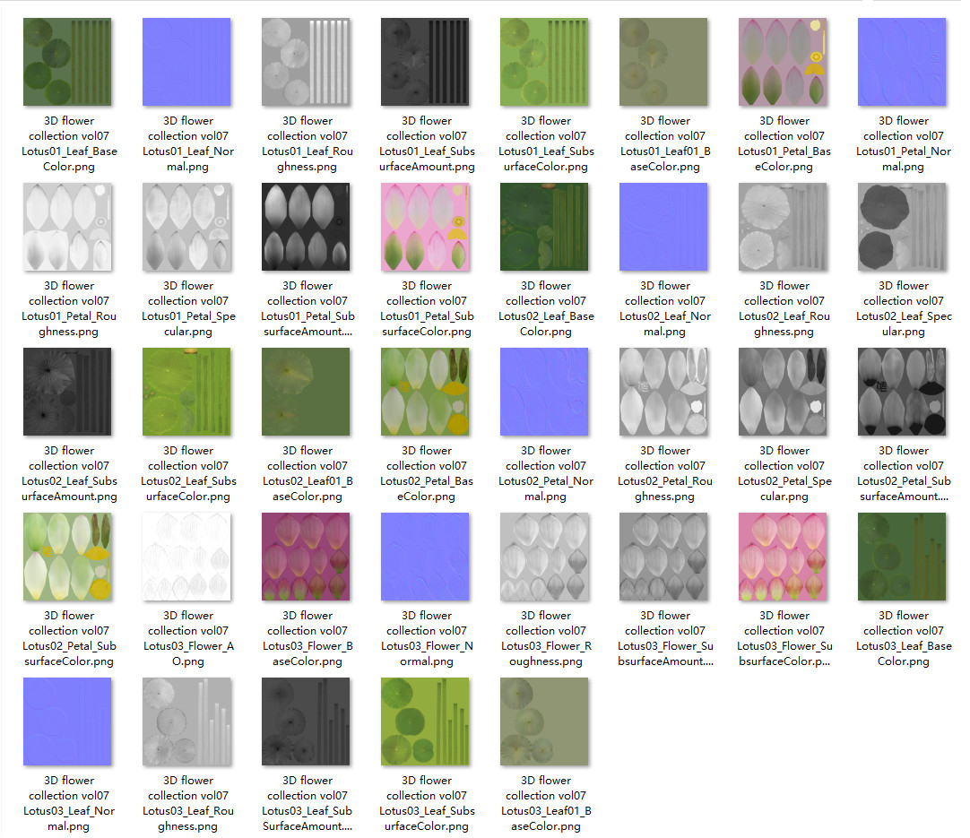 ArtStation - 3D Flower |Lotus Collection vol07 | Resources