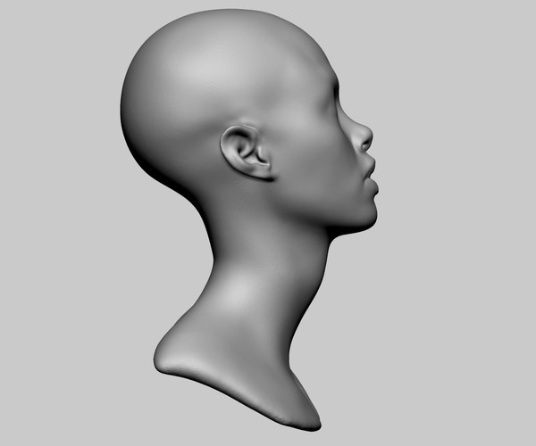 ArtStation - Base Head Models | Resources