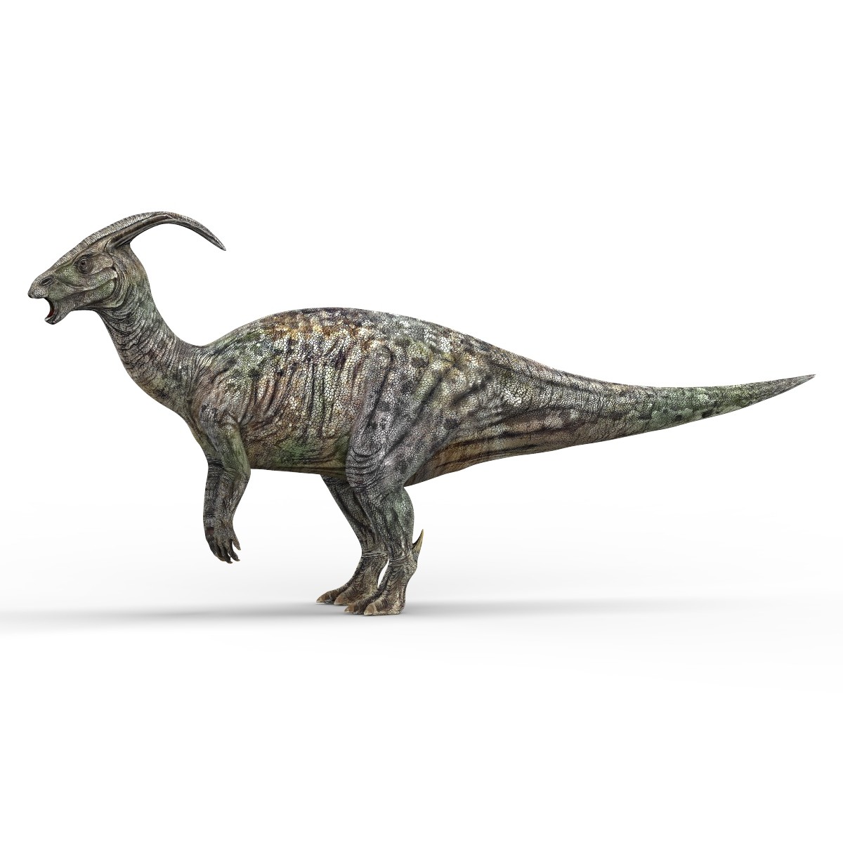 ArtStation - Parasaurolophus Dinosaur | Resources