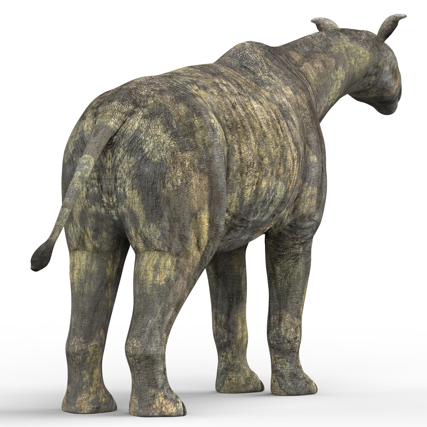 ArtStation - Paraceratherium Dinosaur | Resources