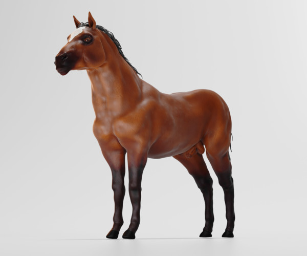 ArtStation - Male stallion horses 3D model | Game Assets