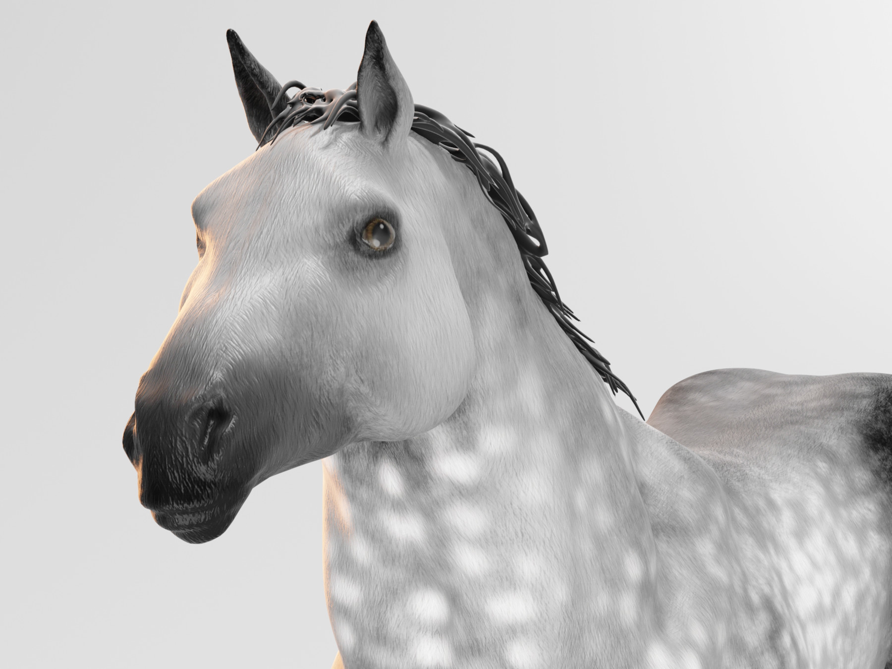 ArtStation - Male stallion horses 3D model | Game Assets