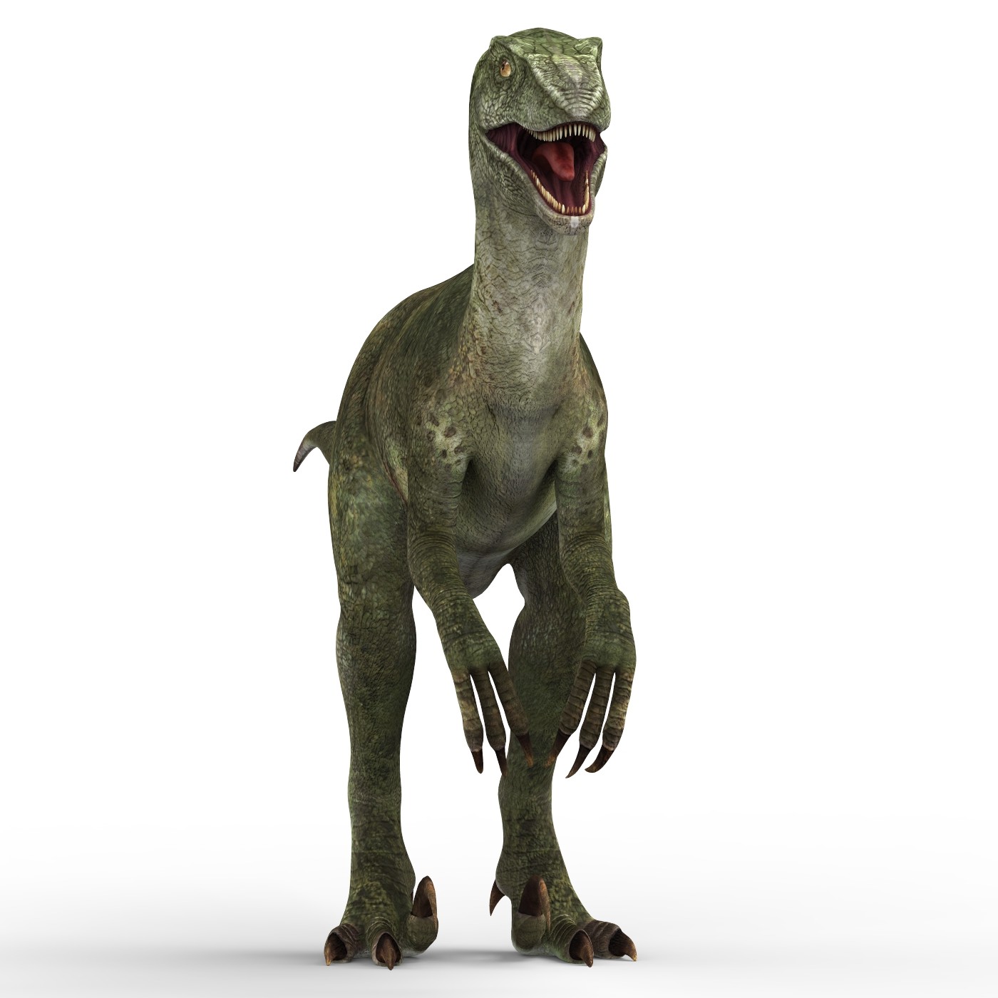 ArtStation - Velociraptor Dinosaur | Resources