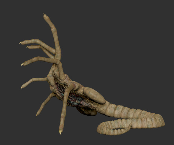 ArtStation - Facehugger, high resolution 3D model. | Game Assets