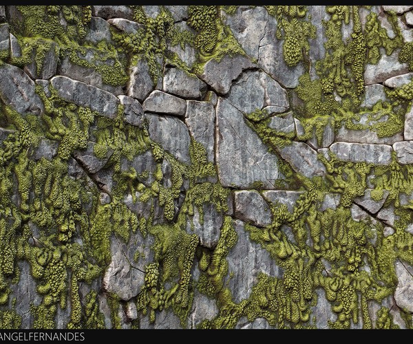 ArtStation - Algae on Stone Material Substance Designer ZBrush | Resources