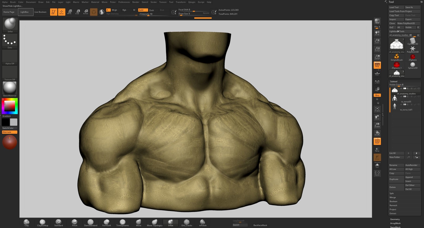 ArtStation - Anatomy Studies | Resources
