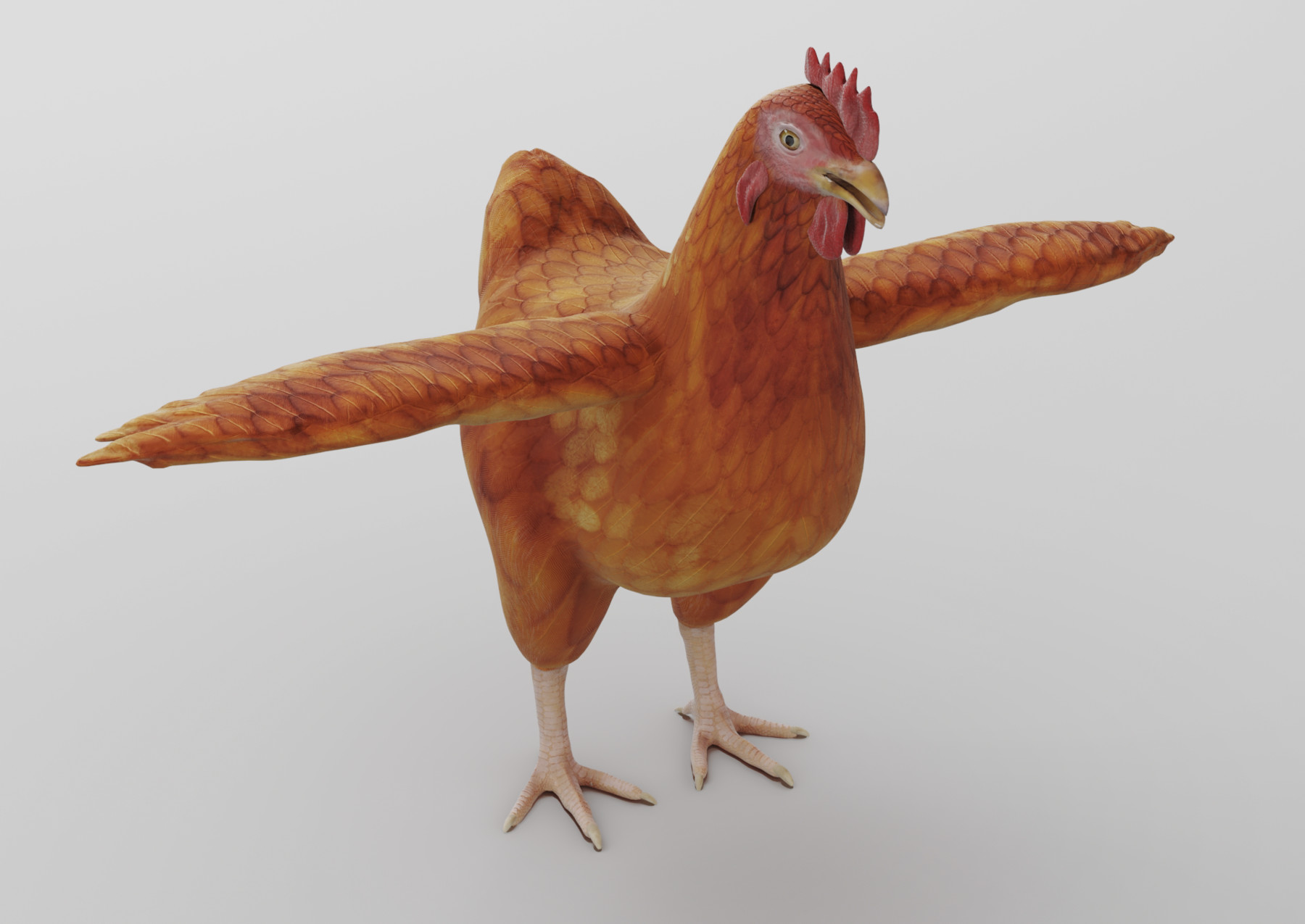 ArtStation - Chicken anatomy in T-pose for rigging 3D model | Resources