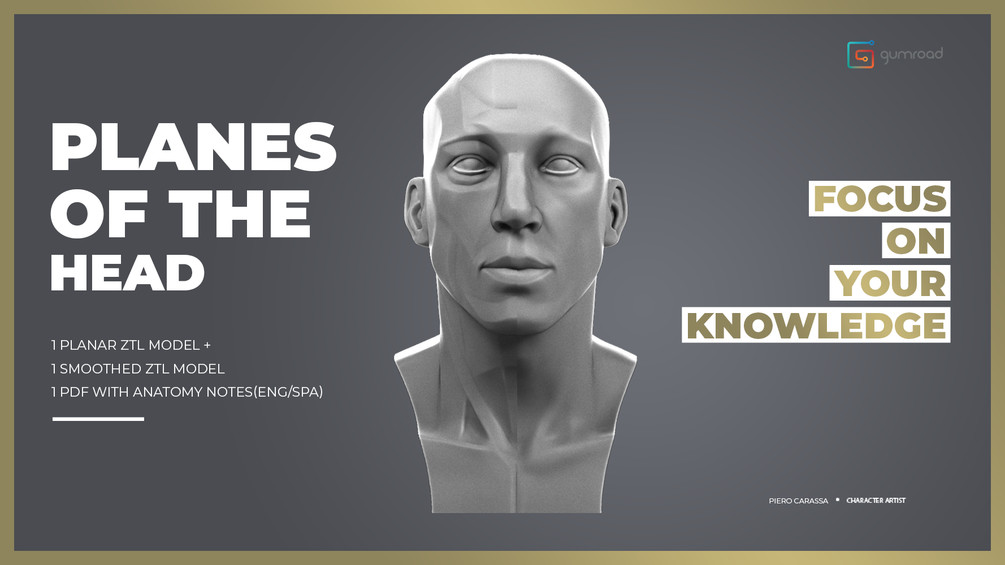 ArtStation - Planes of the Head | Tutorials