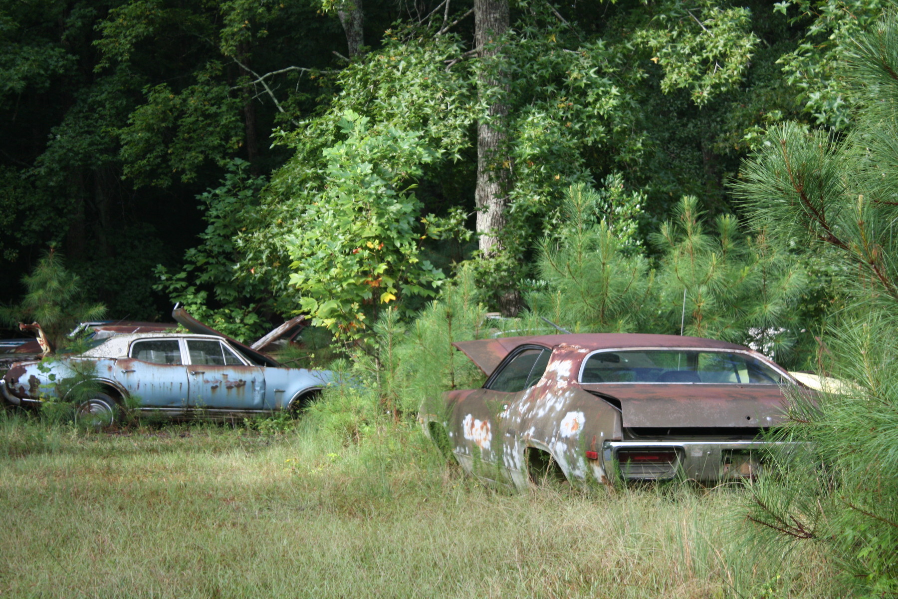 ArtStation - 210 Overgrown Junkyard Photos (Reference/Photobash ...