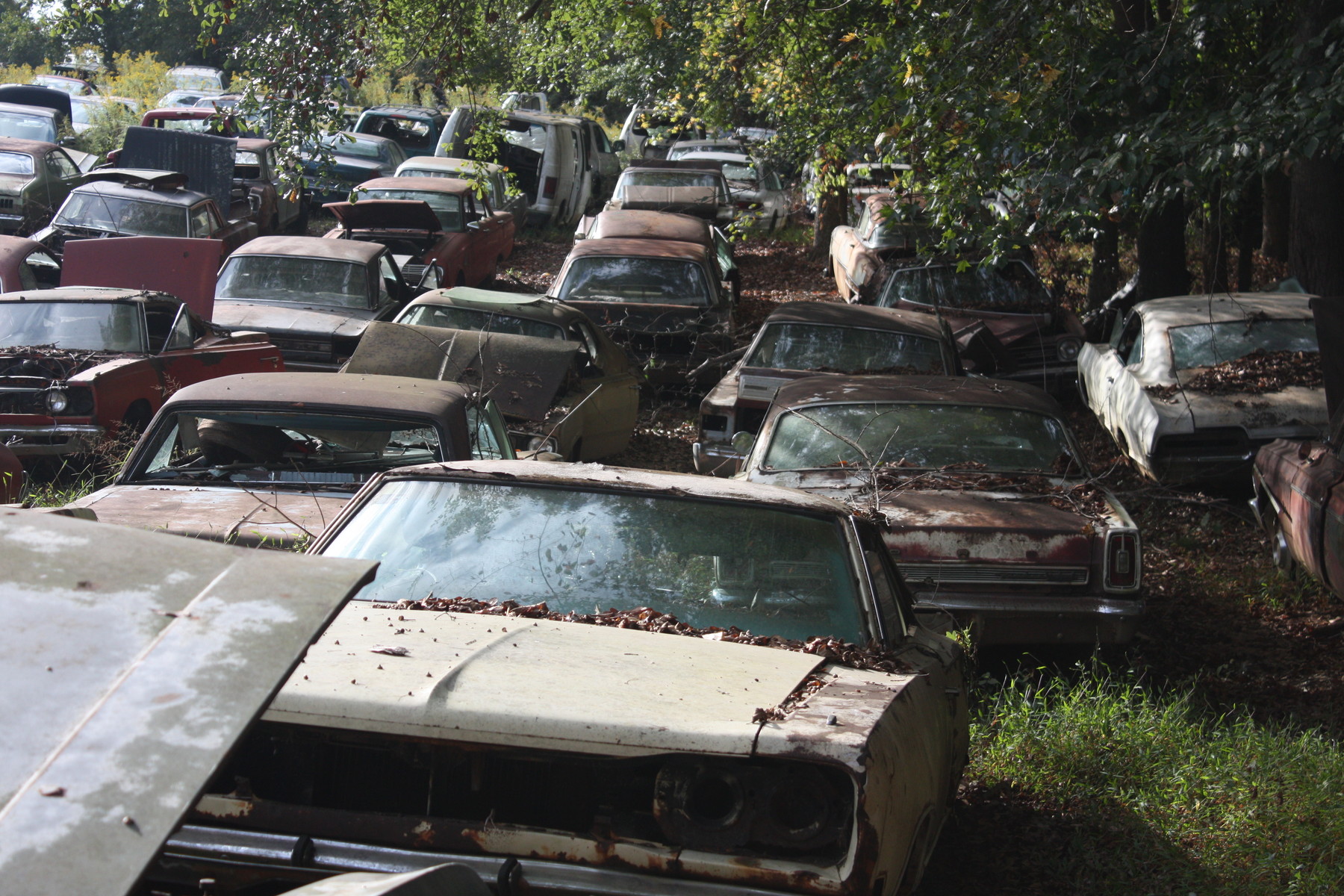 ArtStation - 210 Overgrown Junkyard Photos (Reference/Photobash ...