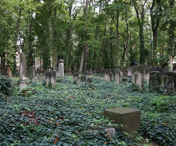 ArtStation - Overgrown Cemetery - 160+ Reference pictures | Resources