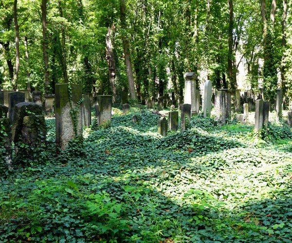 ArtStation - Overgrown Cemetery - 160+ Reference pictures | Resources
