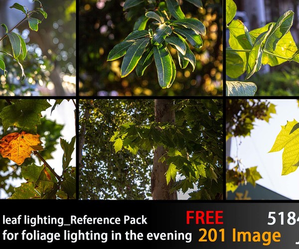 ArtStation - Plant leaf lighting_Reference Pack【FREE】 | Resources