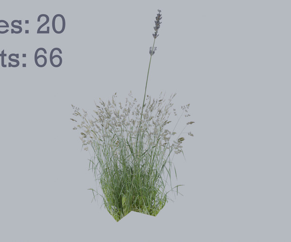 ArtStation - Low-Poly Grass Pack | Game Assets