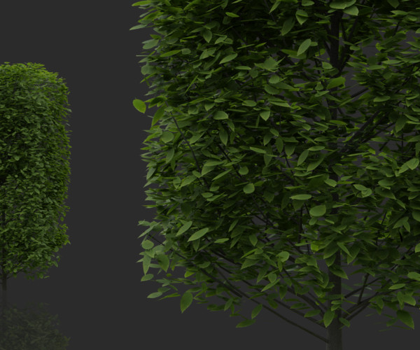 ArtStation - Hedges & Shrubs Pack | Game Assets