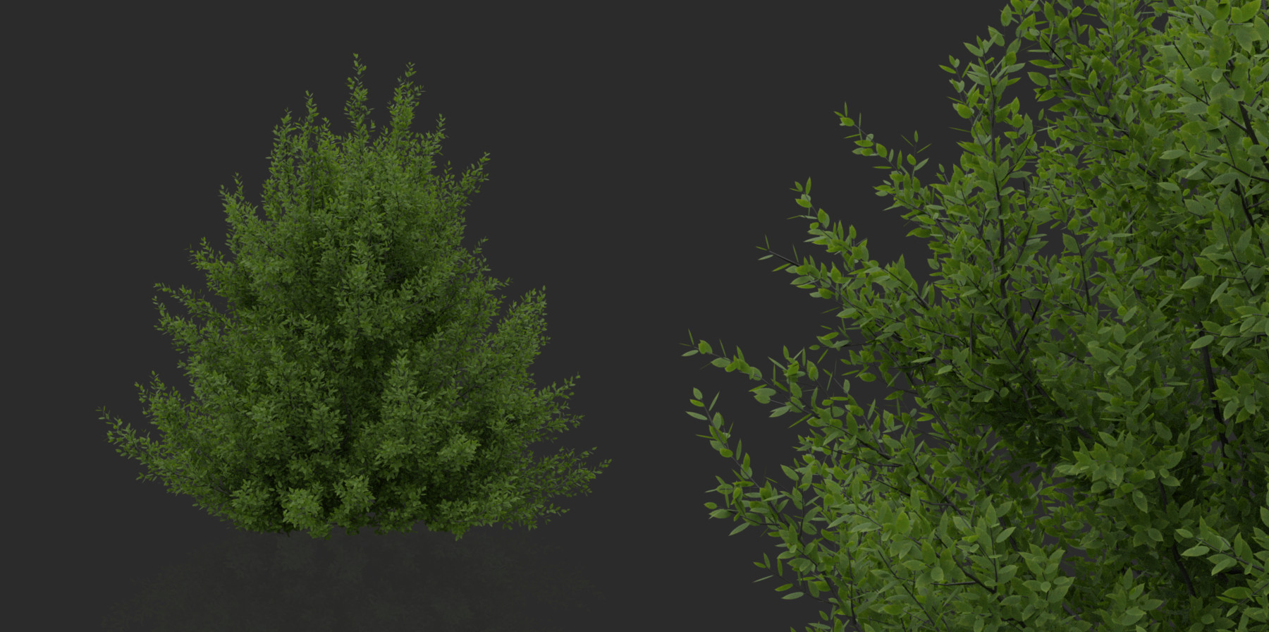 ArtStation - Hedges & Shrubs Pack | Game Assets