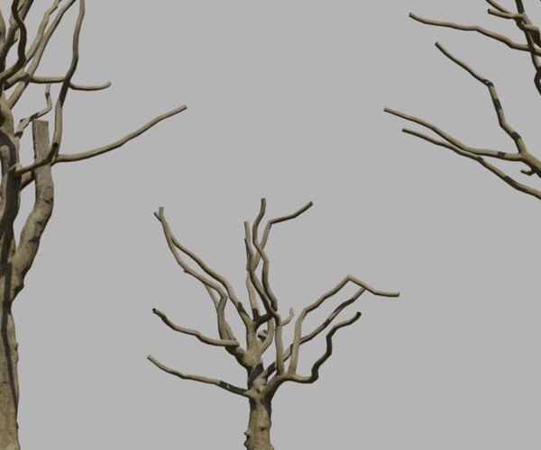 ArtStation - Dead Trees Vol.2 | Game Assets