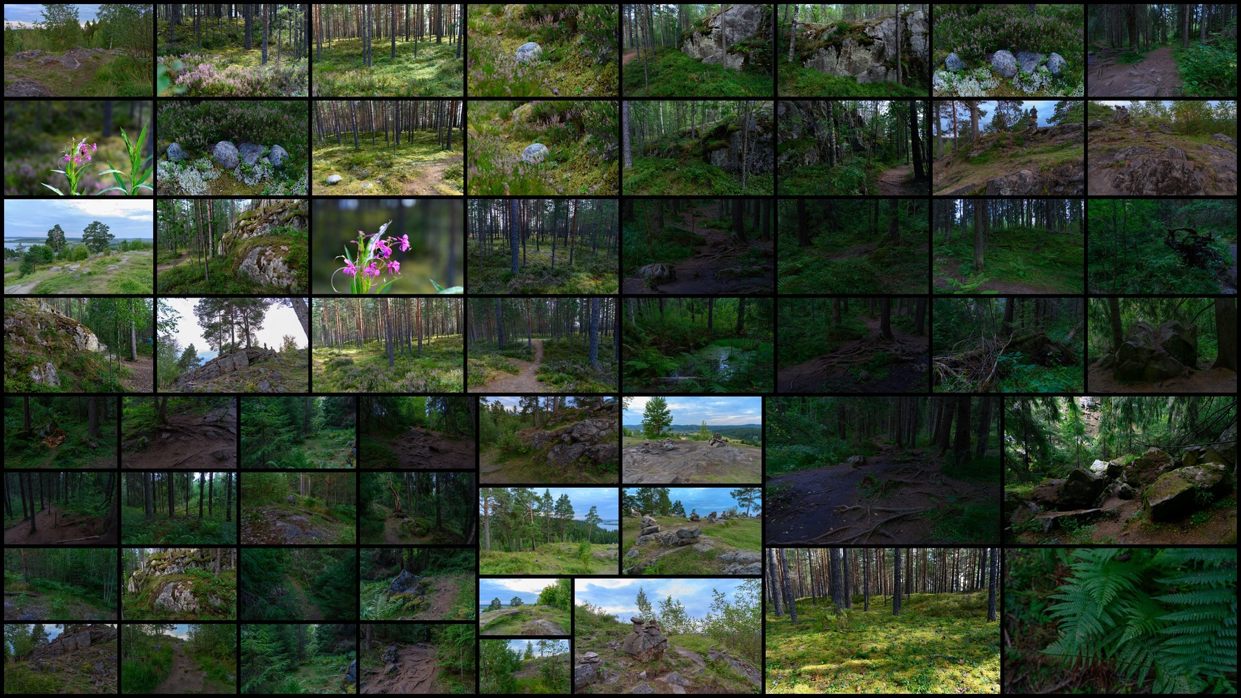 ArtStation - Northern Nature Plants Lake And Waterfall Reference ...