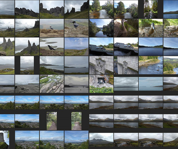 ArtStation - Mega Pack 1 - Royalty Free Reference Pictures | Resources