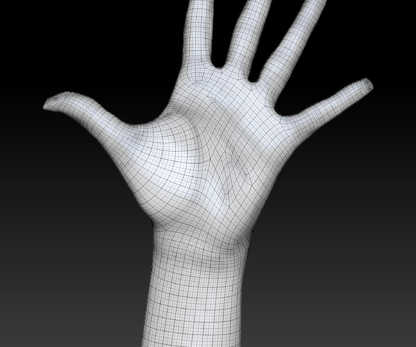 ArtStation - Female hand 39 | Game Assets