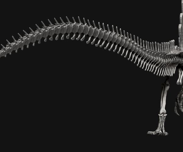 ArtStation - Dinosaur Spinosaurus Full Skeleton Sculpt Model | Game Assets