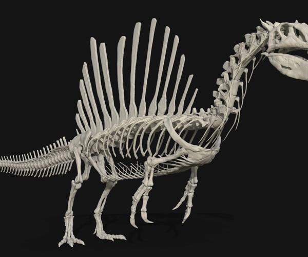 ArtStation - Dinosaur Spinosaurus Full Skeleton Sculpt Model | Game Assets