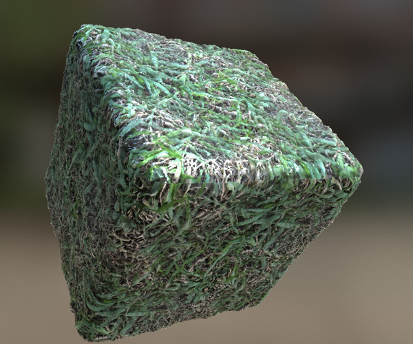ArtStation - Grass and Ground Texture | Game Assets