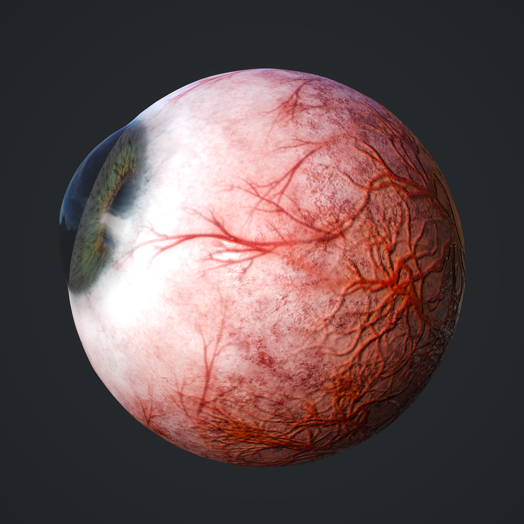 ArtStation - Just an eye! | Game Assets