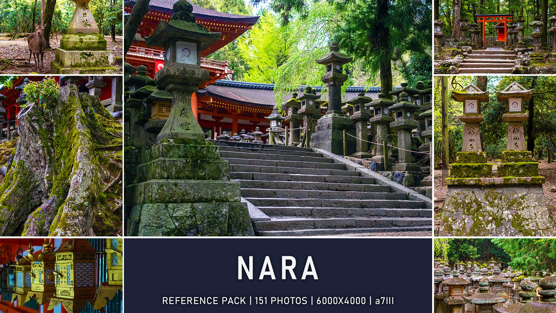 ArtStation - Nara | Japan | Resources