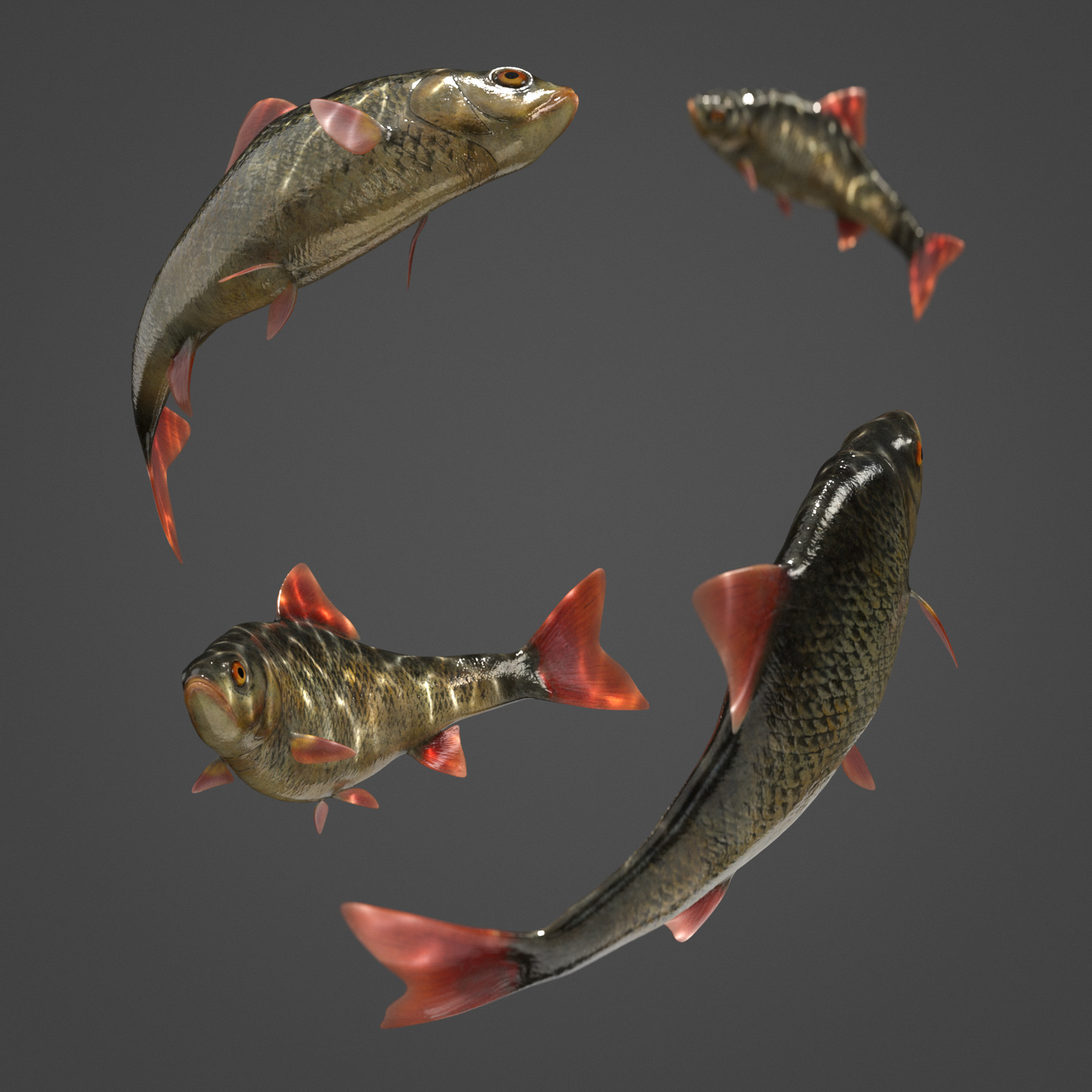ArtStation - Fish | Resources