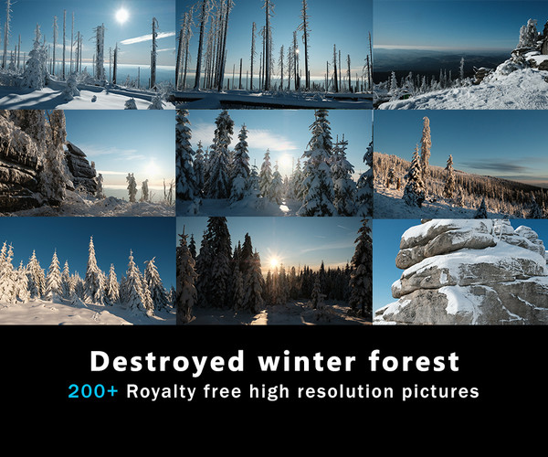 ArtStation - Destroyed Winter Forest | Resources